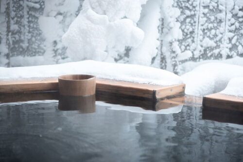 Keeping Pests and Rodents Out of Your Hot Tub - Aqua Living Factory Outlets